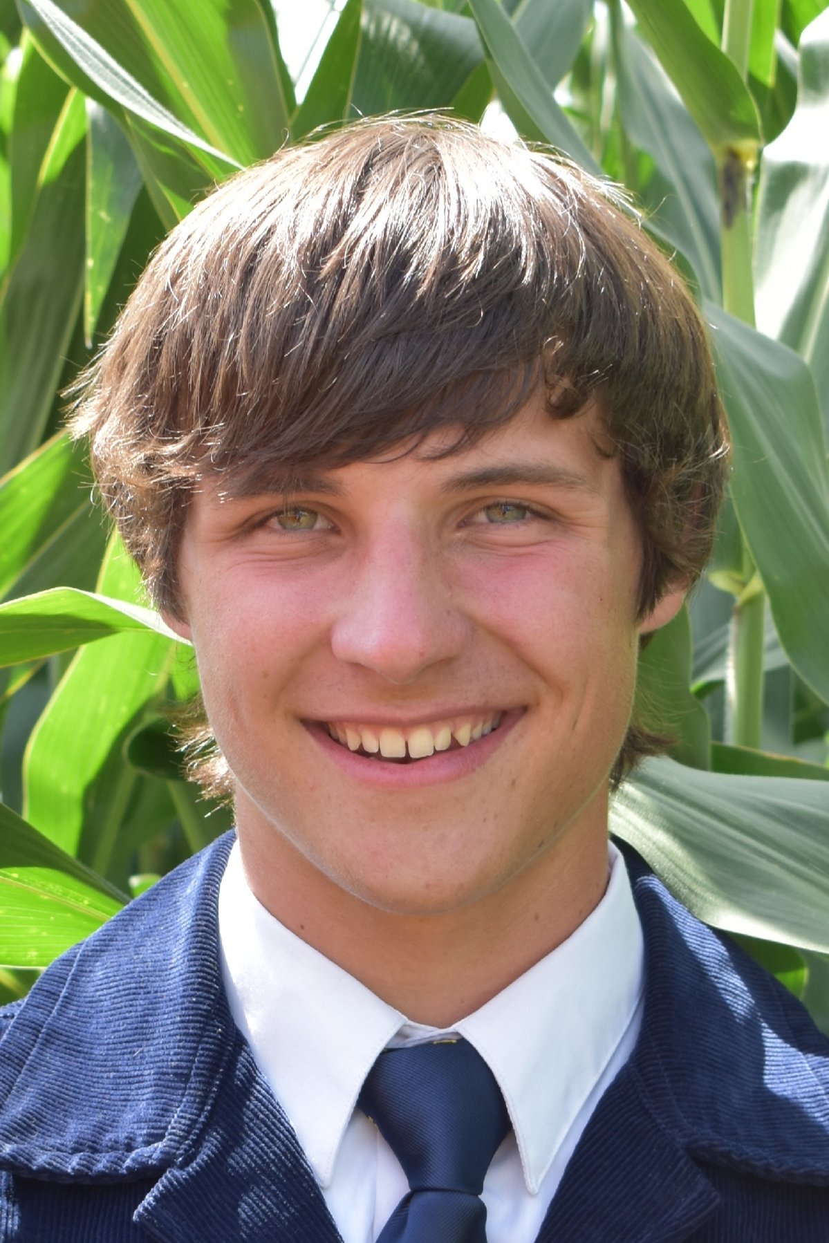 Grants and Scholarships